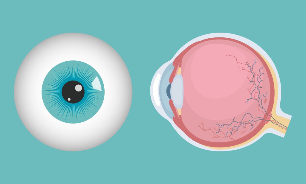 Retinopathy: Symptoms, Causes, Treatment | Diabetic Ophthalmologist